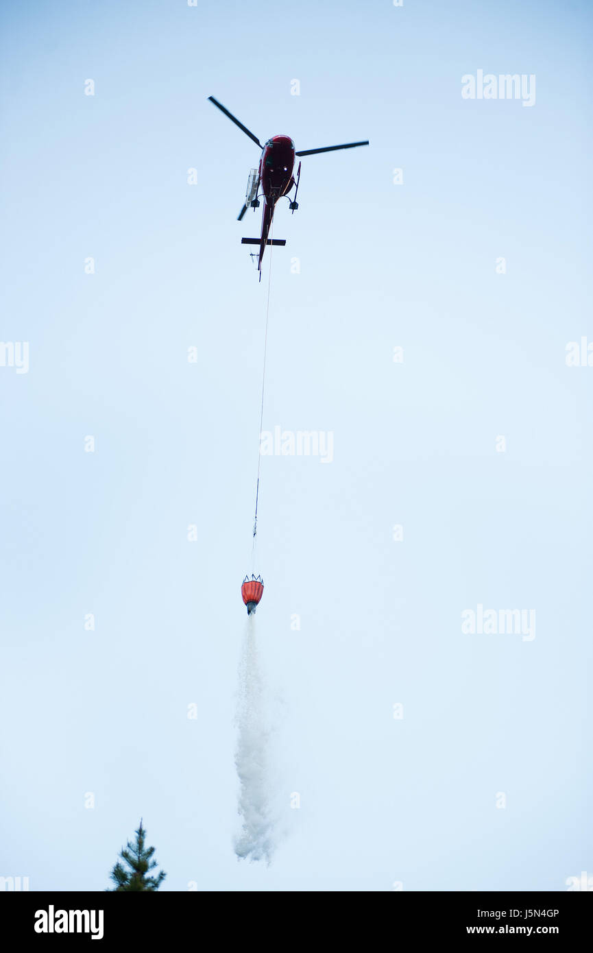 A-350 A-Star helicopters drop water from bucket slung underneath during ...