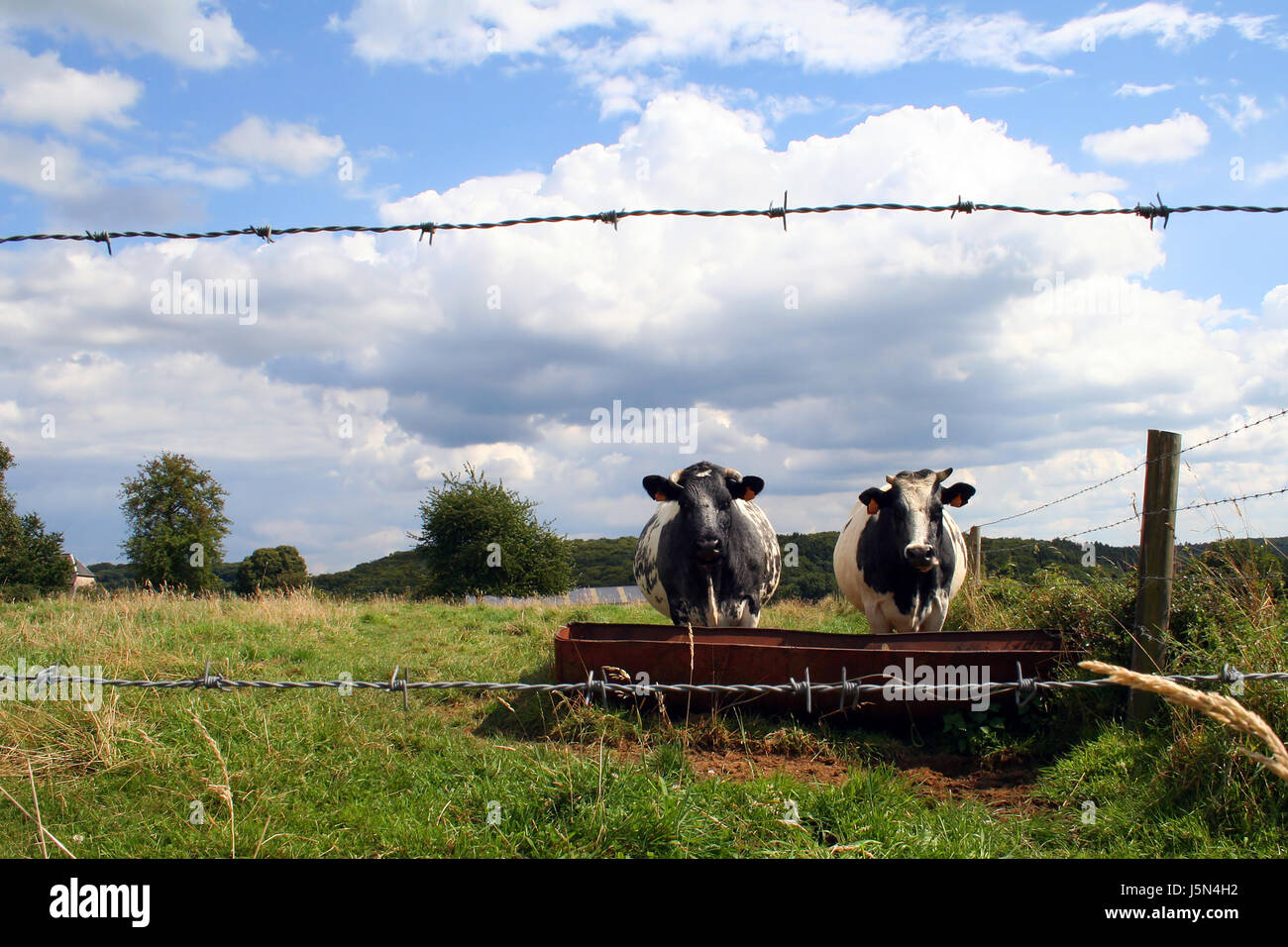 Milk gas station hi-res stock photography and images - Alamy