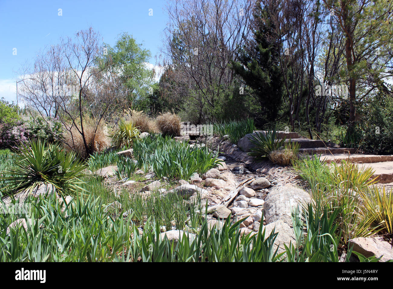 Very green grass stands before the wooded area, along with other ...