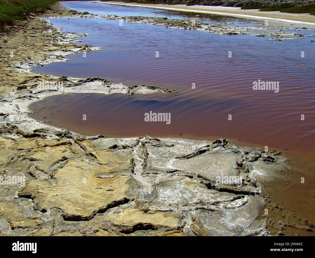 salt france crystal raw material Provence crust alga saline dulse salt ...