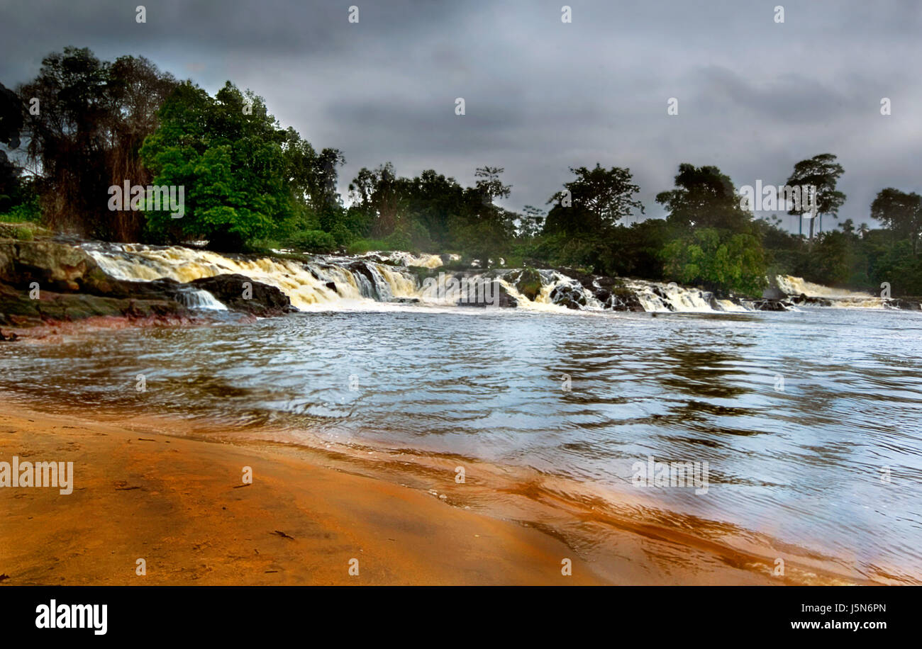 the lobfall in rain Stock Photo - Alamy