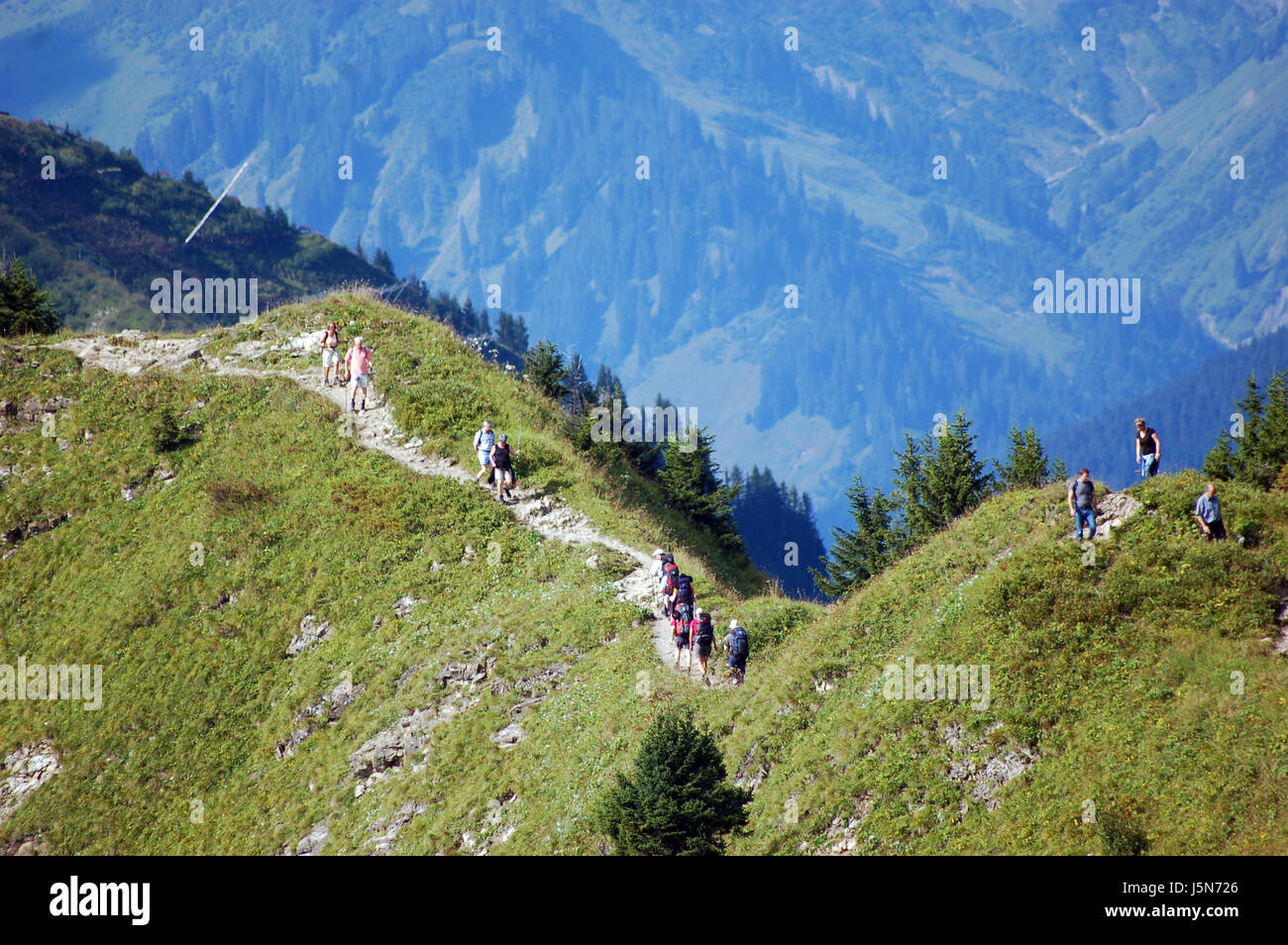 woman humans human beings people folk persons human human being alps ...