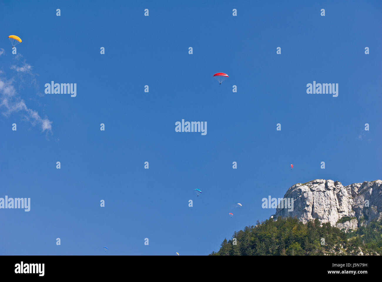 Sigel tree hi-res stock photography and images - Alamy