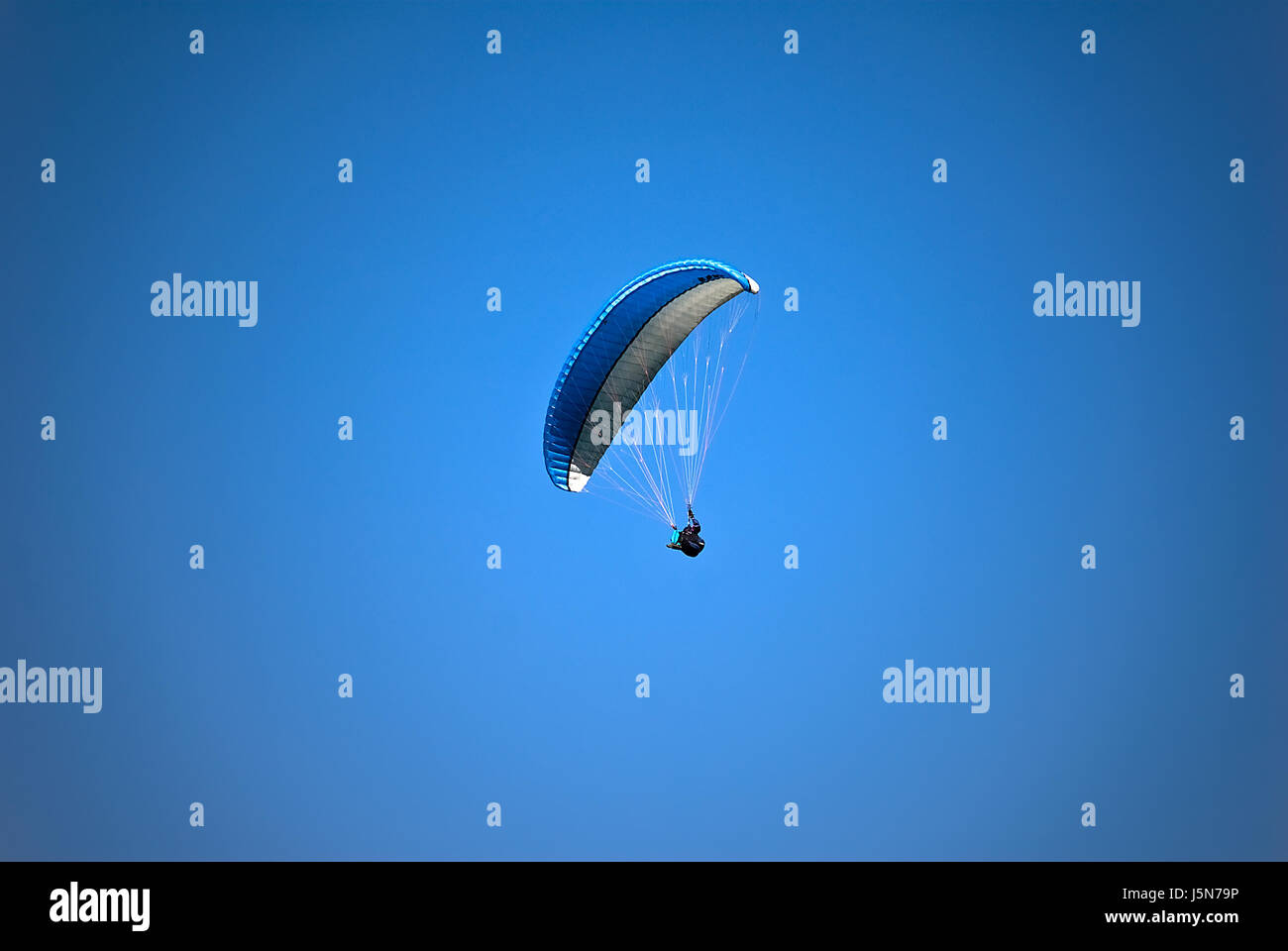 Sigel tree hi-res stock photography and images - Alamy