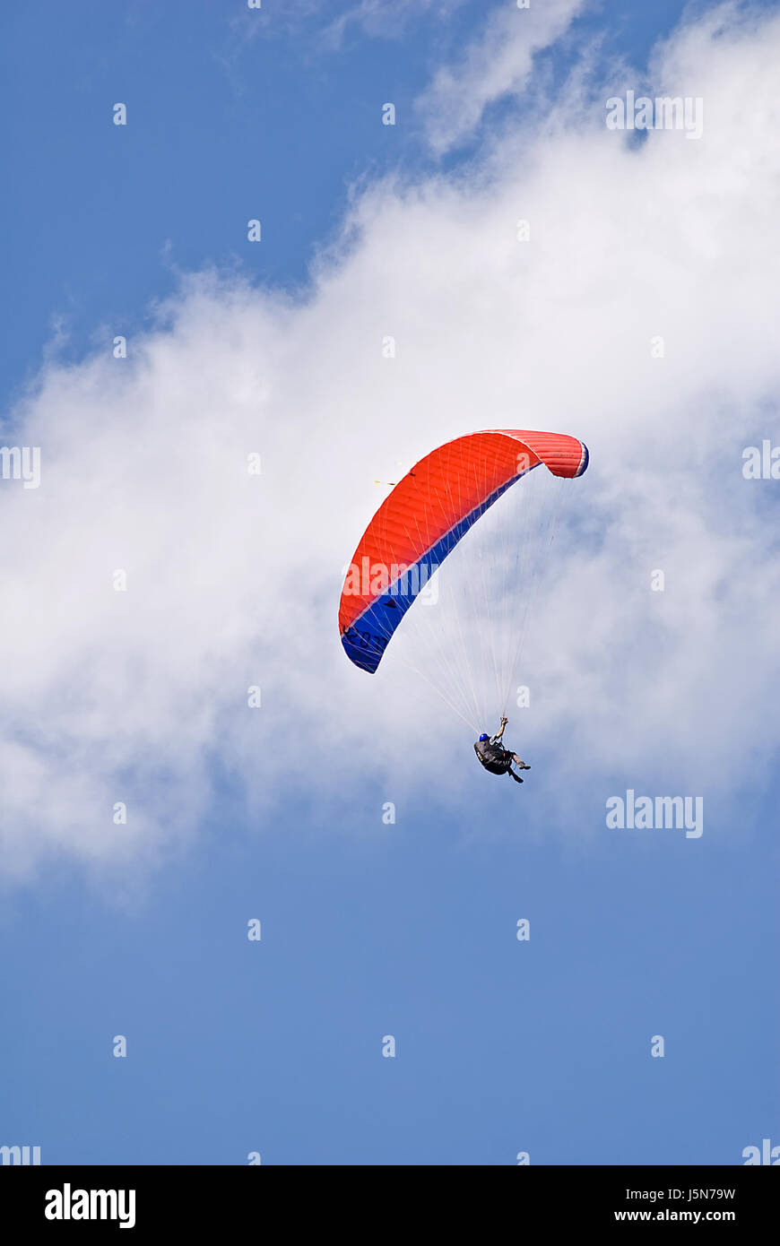 Sigel tree hi-res stock photography and images - Alamy