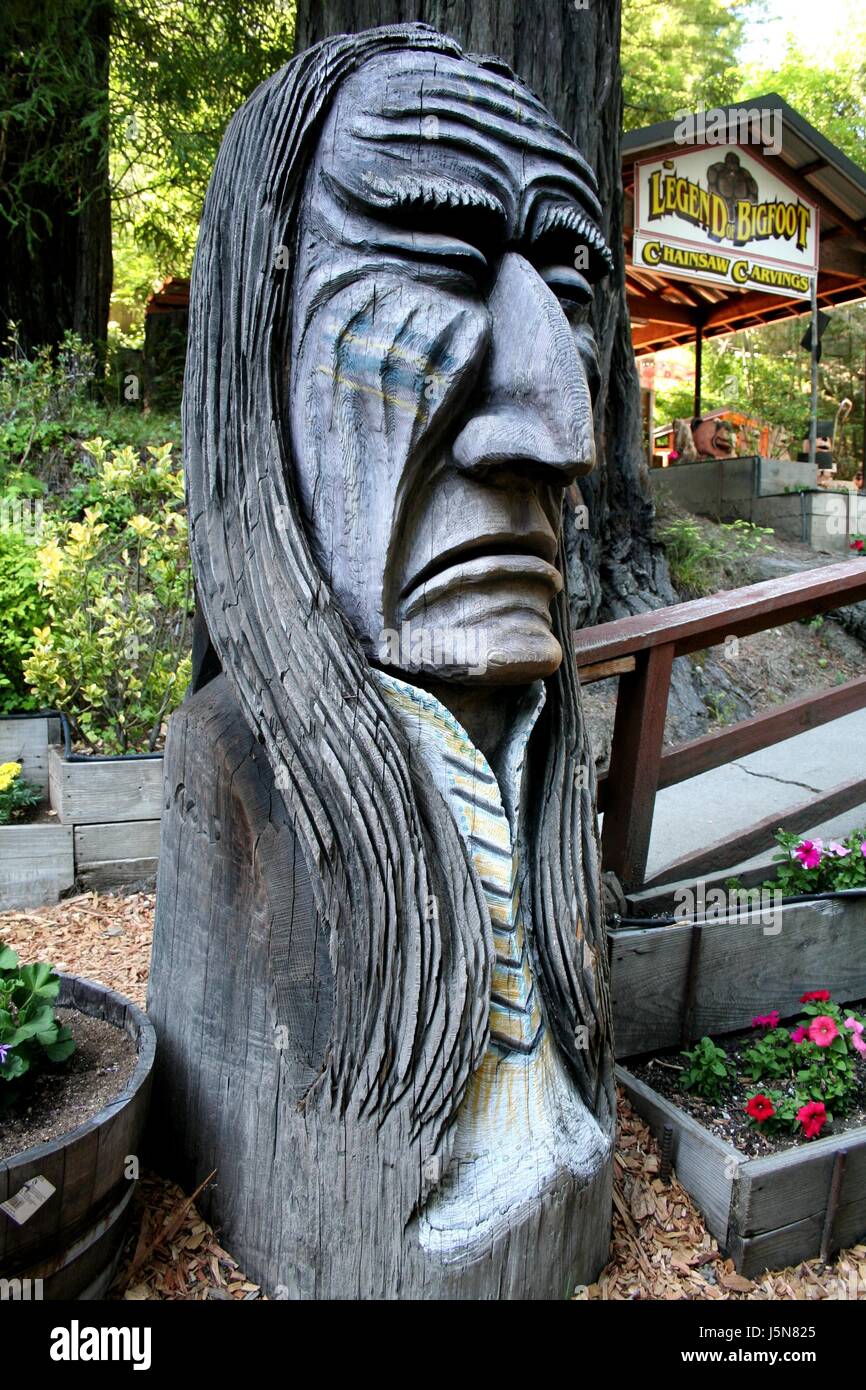 reed wood chainsaw work california Stock Photo - Alamy