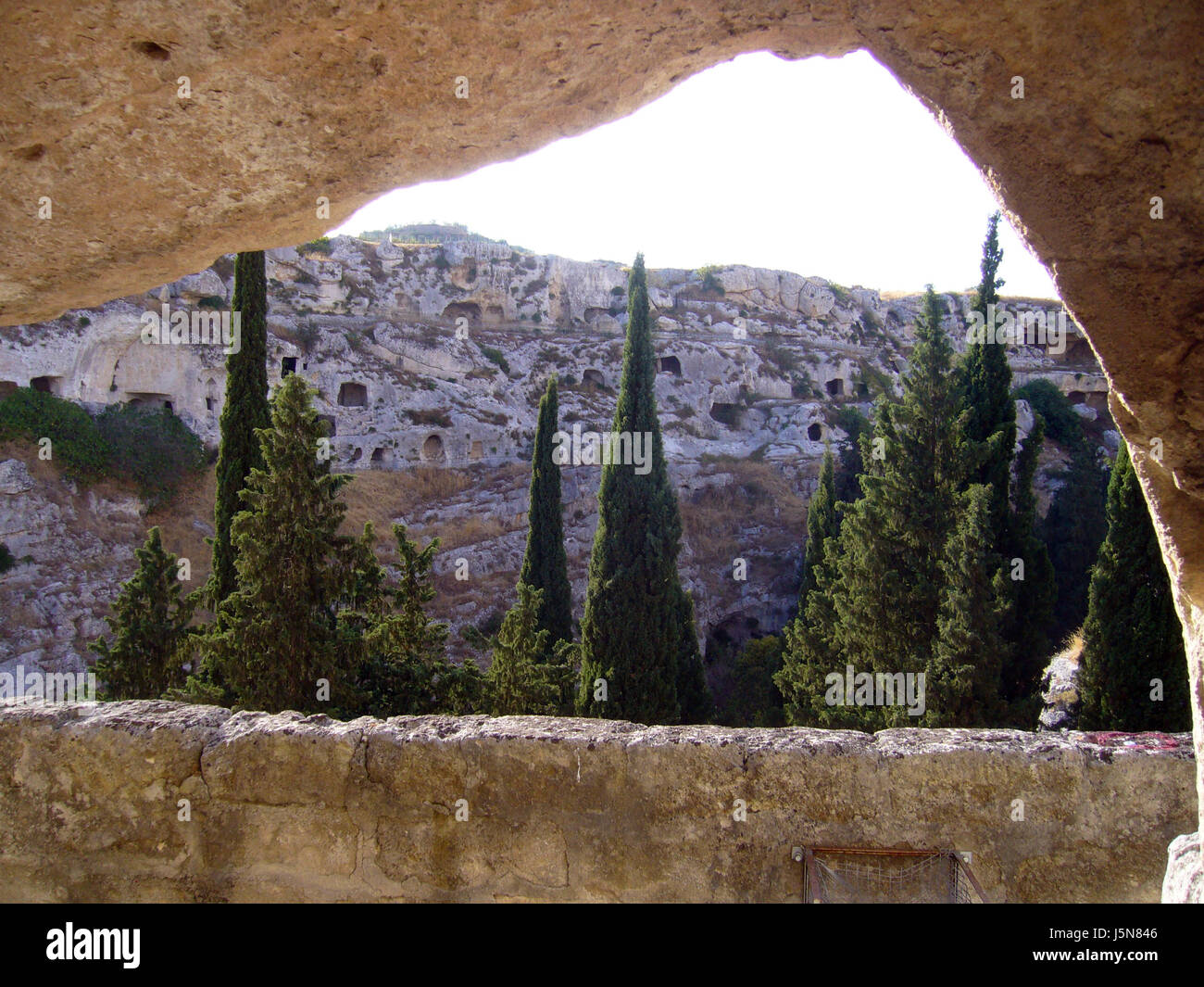 tree trees cave ravine idea perspective point of view approach view ...
