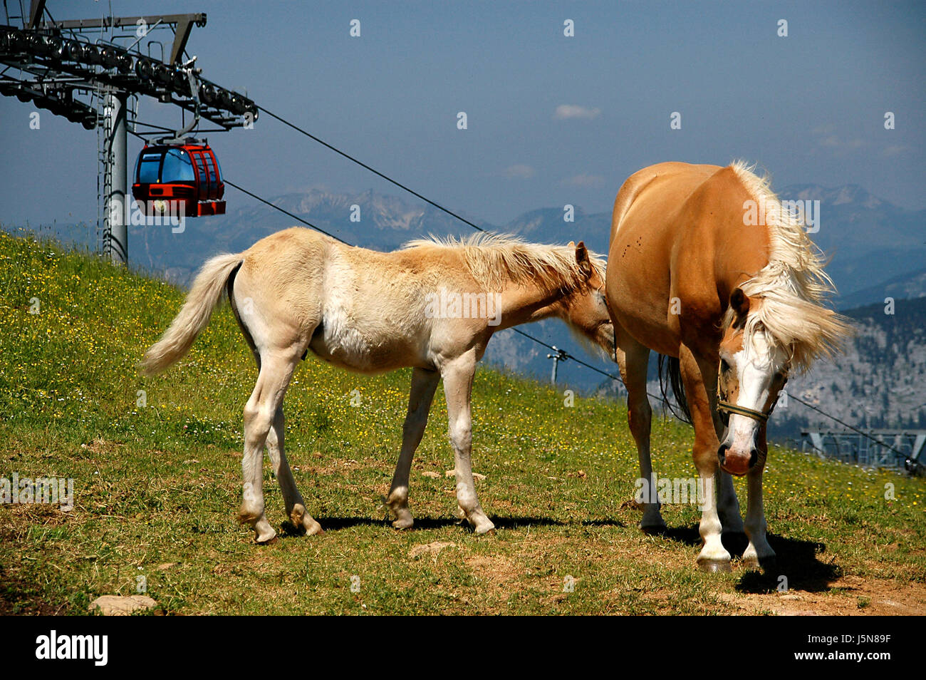Ma mare hi-res stock photography and images - Alamy