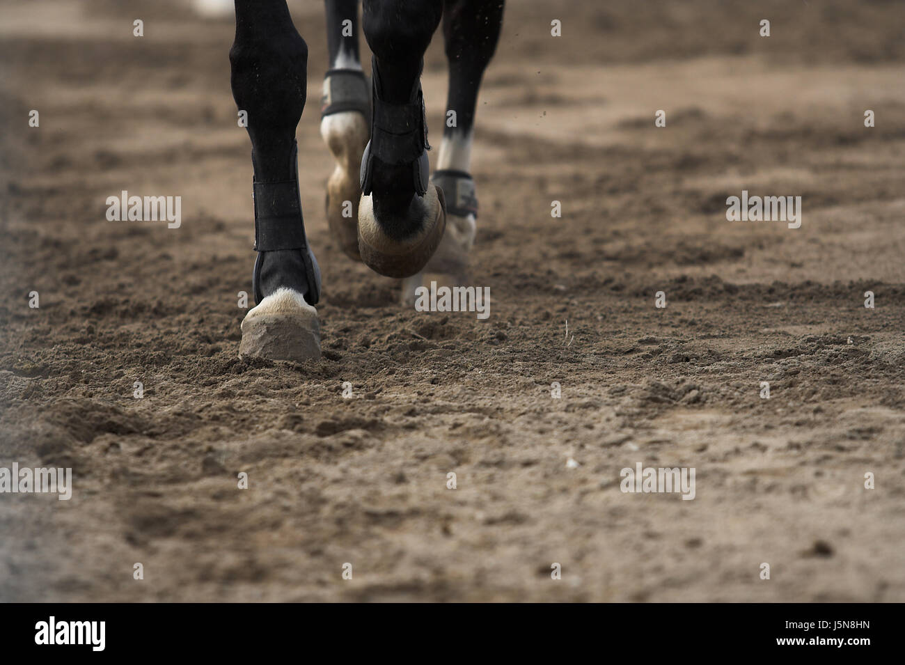 Part the soil hi-res stock photography and images - Alamy
