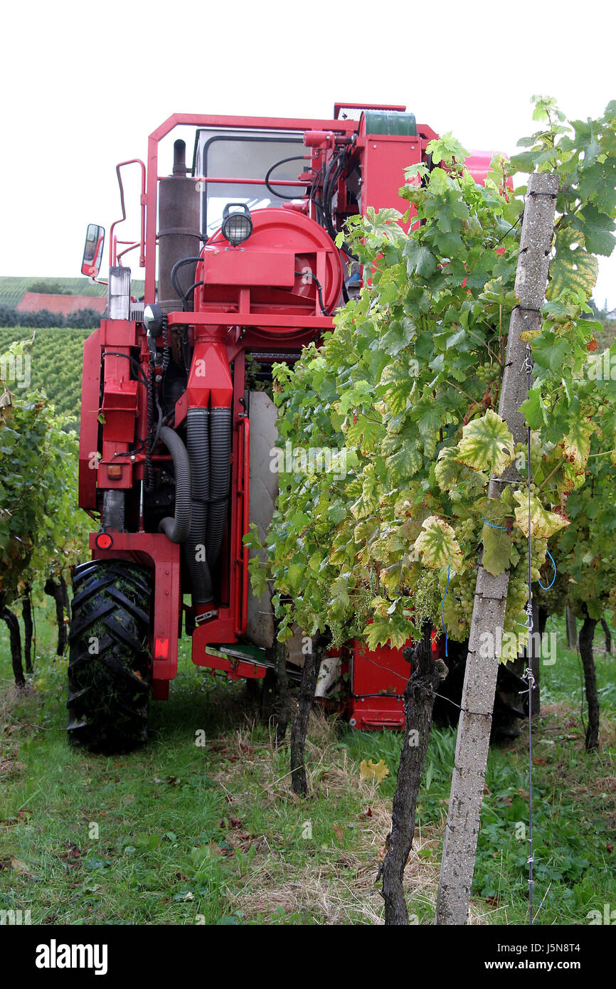 drive engineering engine motor vintage vineyard vines berries reap ...