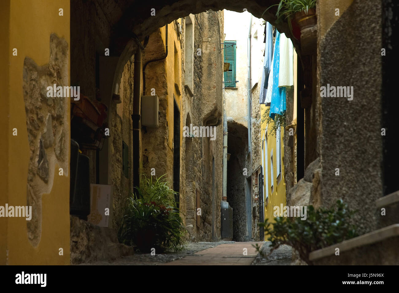 house building plant window porthole dormer window pane snug coloured ...