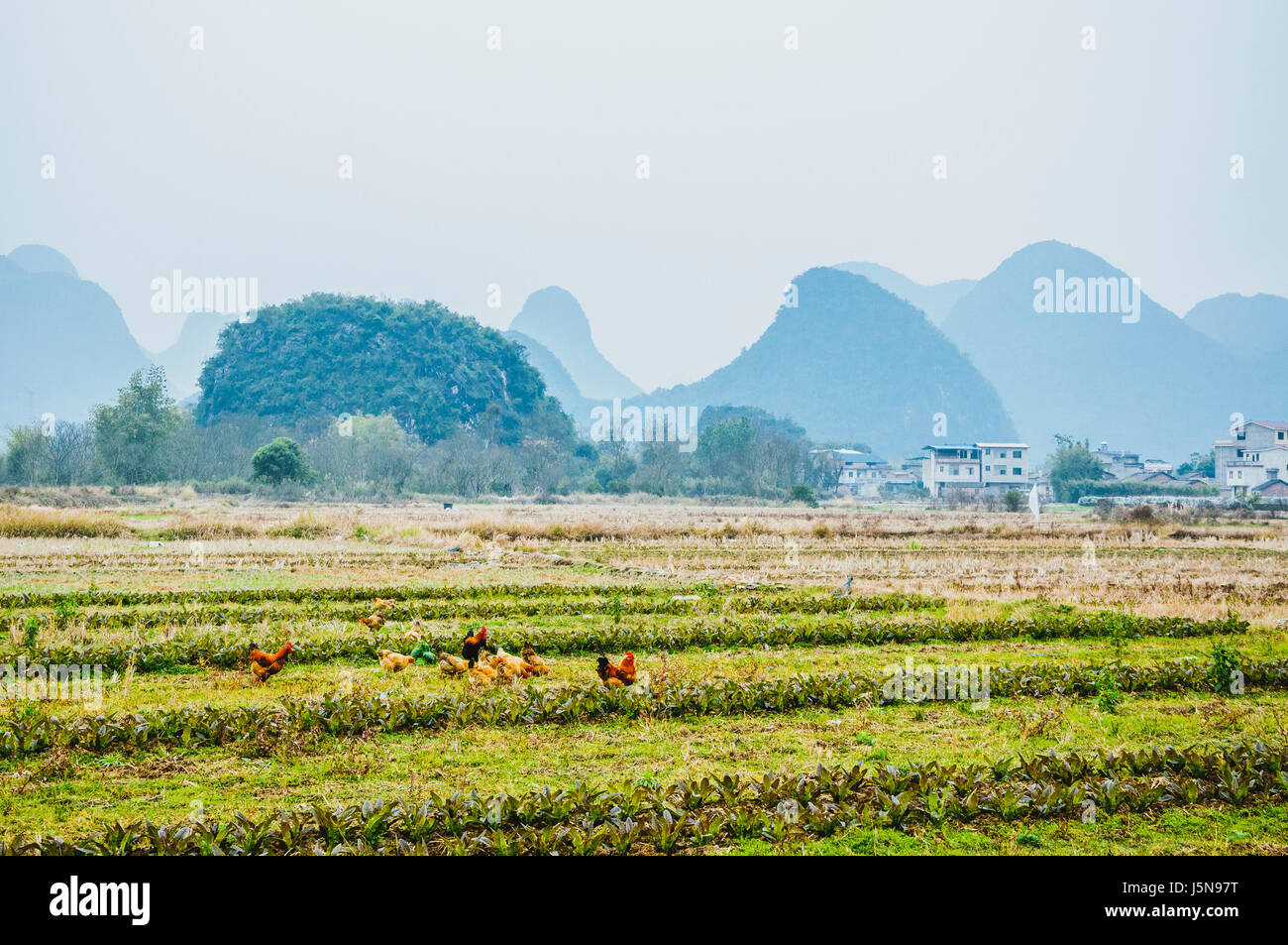 The colorful countryside scenery in autumn Stock Photo - Alamy