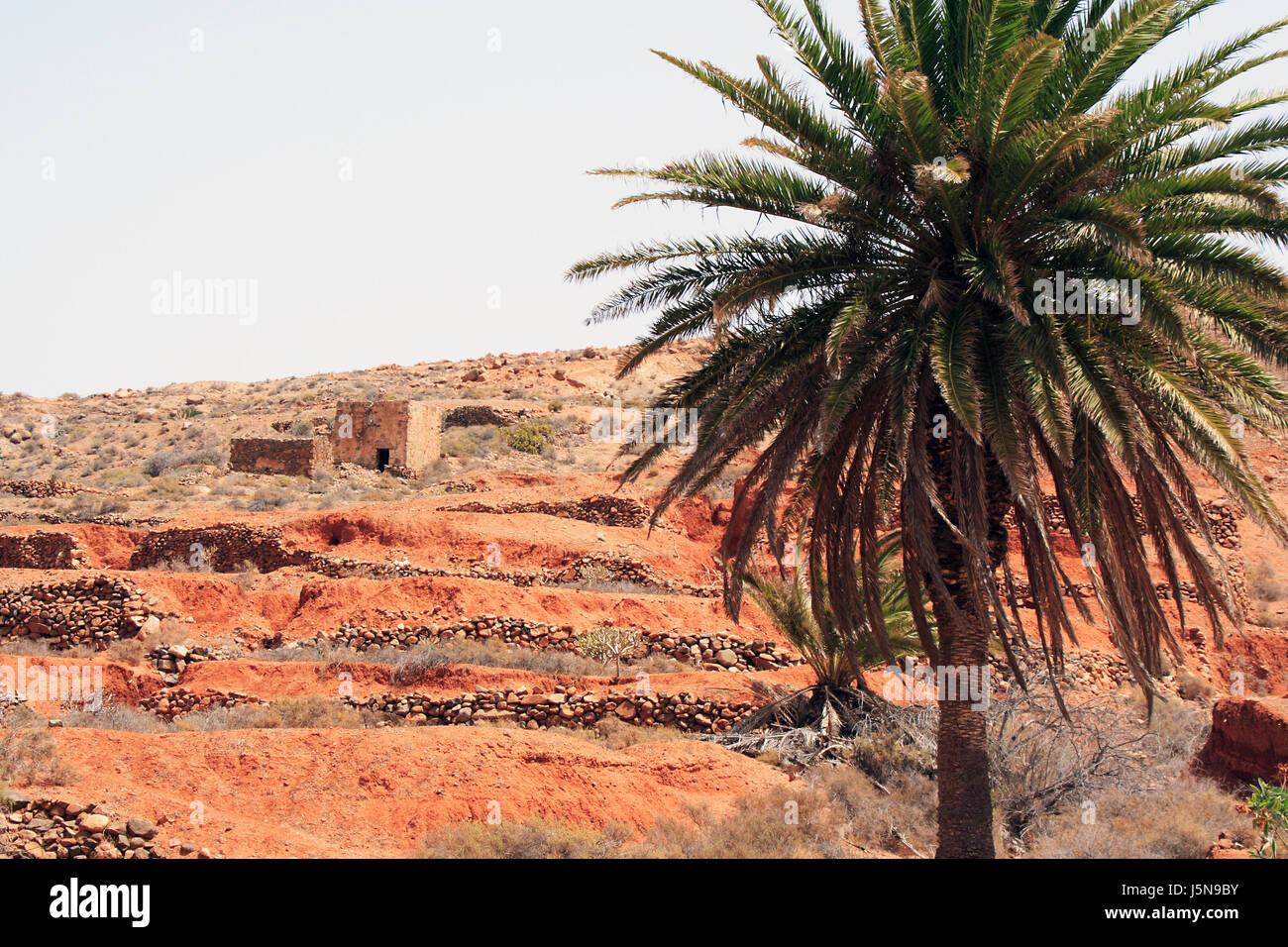 house building desert wasteland agriculture farming hot scree terrace ...