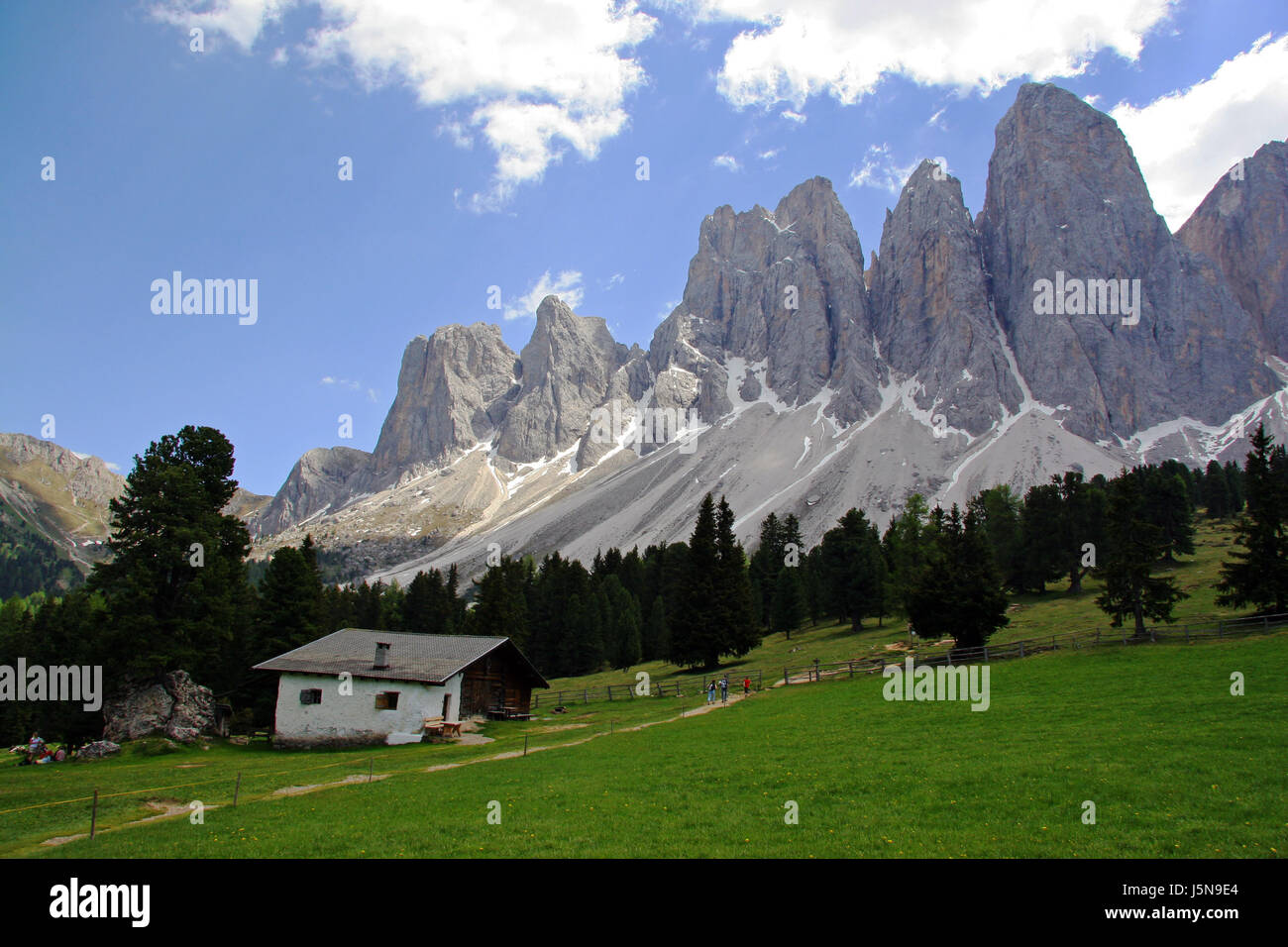humans human beings people folk persons human human being house ...