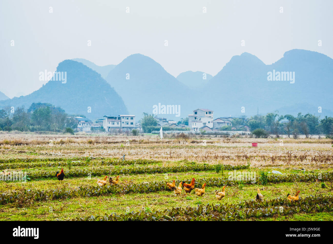 The colorful countryside scenery in autumn Stock Photo - Alamy