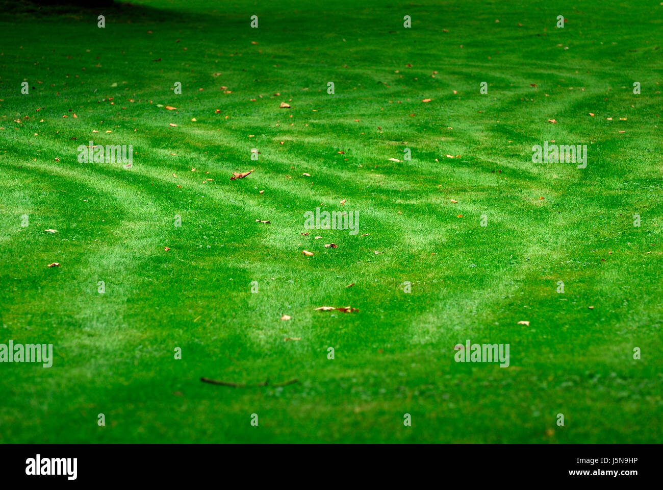 park garden waves area gardens underground design shaping formation ...