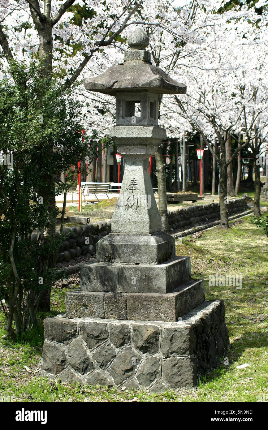 religion culture tree trees garden cherry blossom inscription japan ...