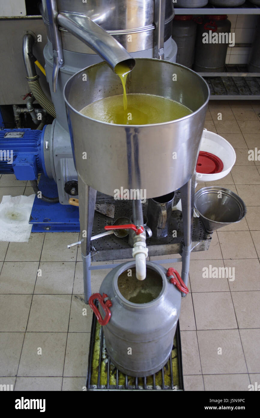 Olive oils bottling hi-res stock photography and images - Alamy