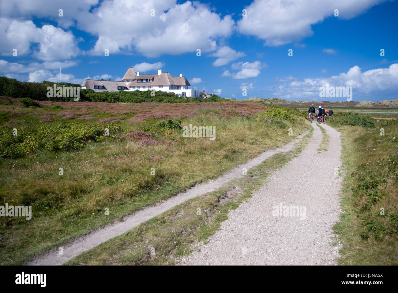 house building shine shines bright lucent light serene luminous sunny ...