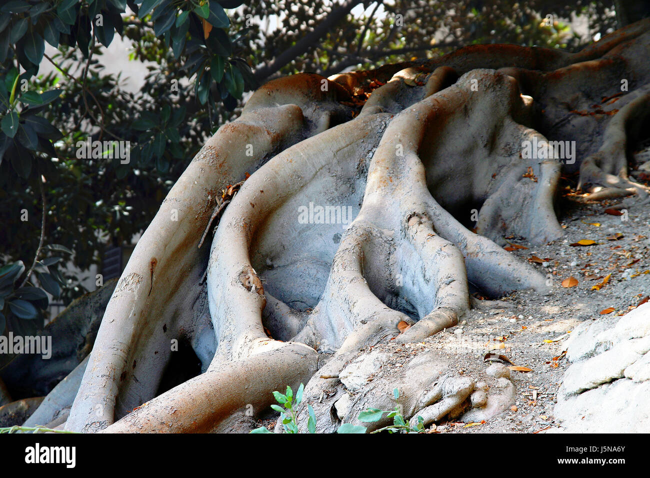 Fighting structure hi-res stock photography and images - Alamy