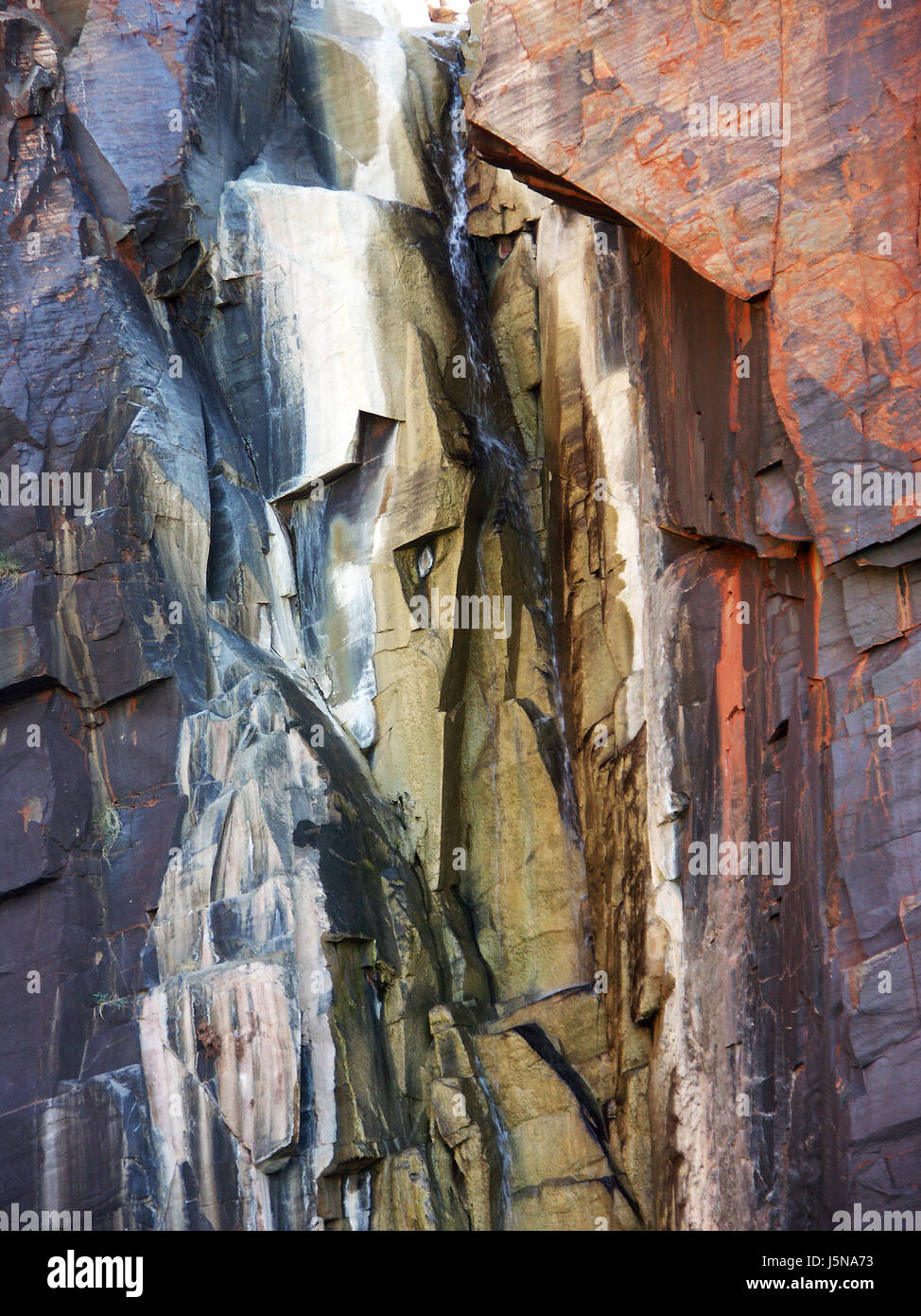 Python pool hi-res stock photography and images - Alamy