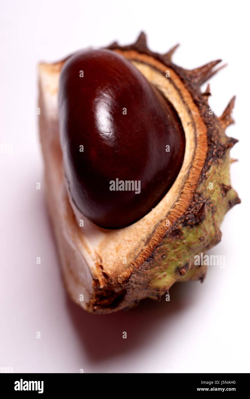 Sperm Joke High Resolution Stock Photography and Images - Alamy