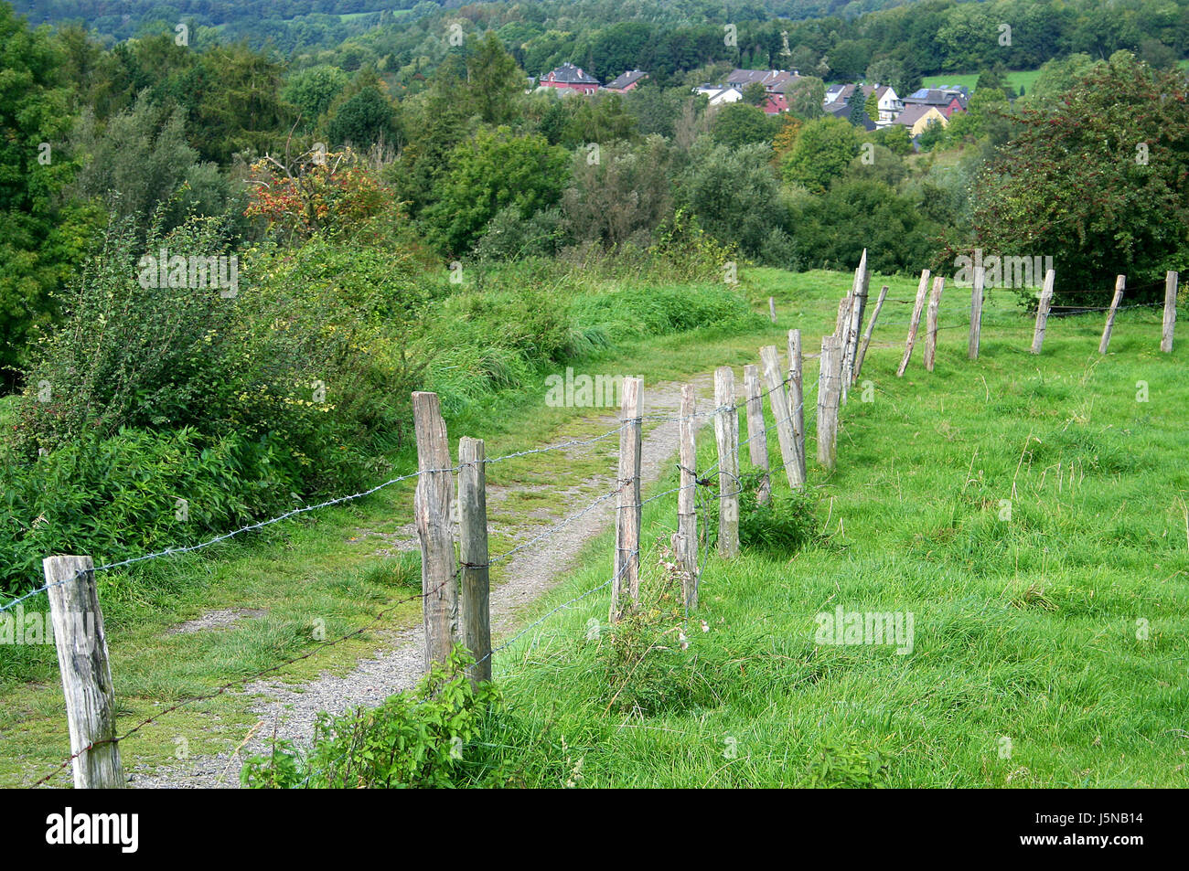houses tree trees green dirt road fence meadows valley ingrained path ...
