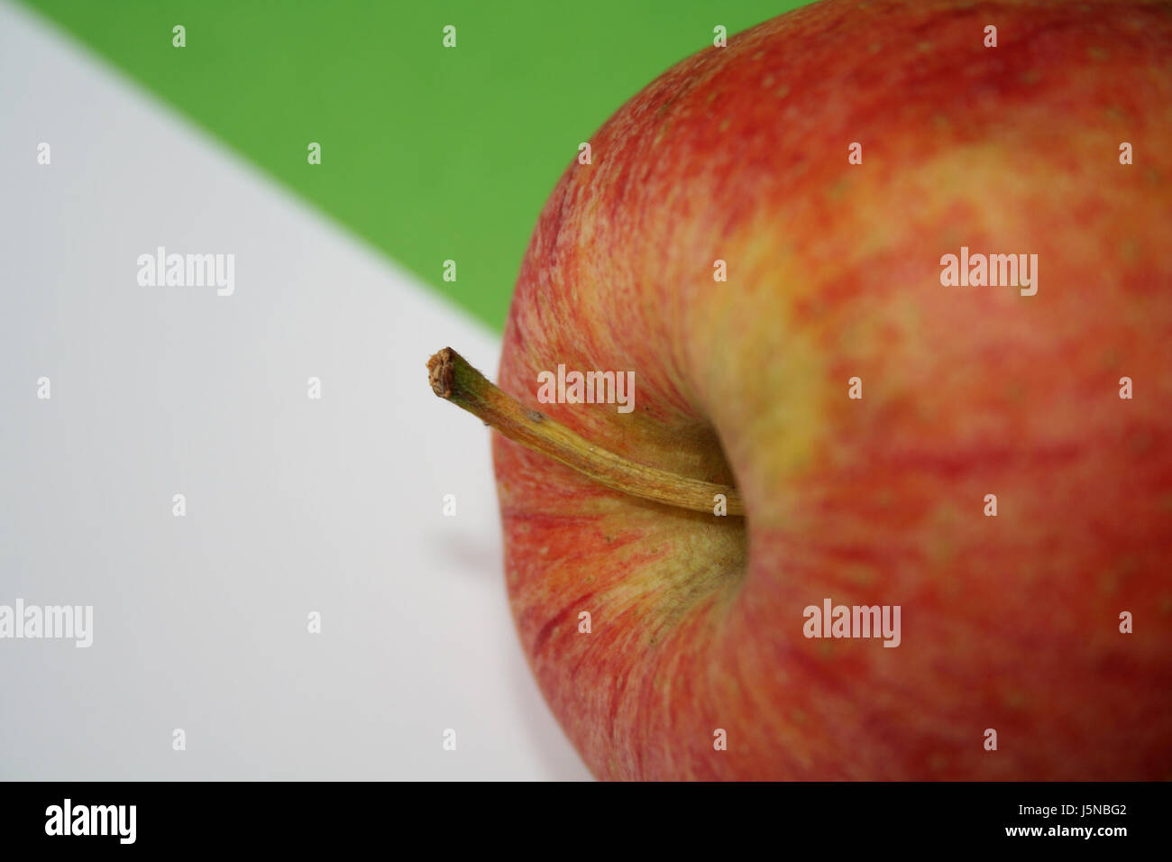 eco green blank european caucasian biological fruit apples apple ...