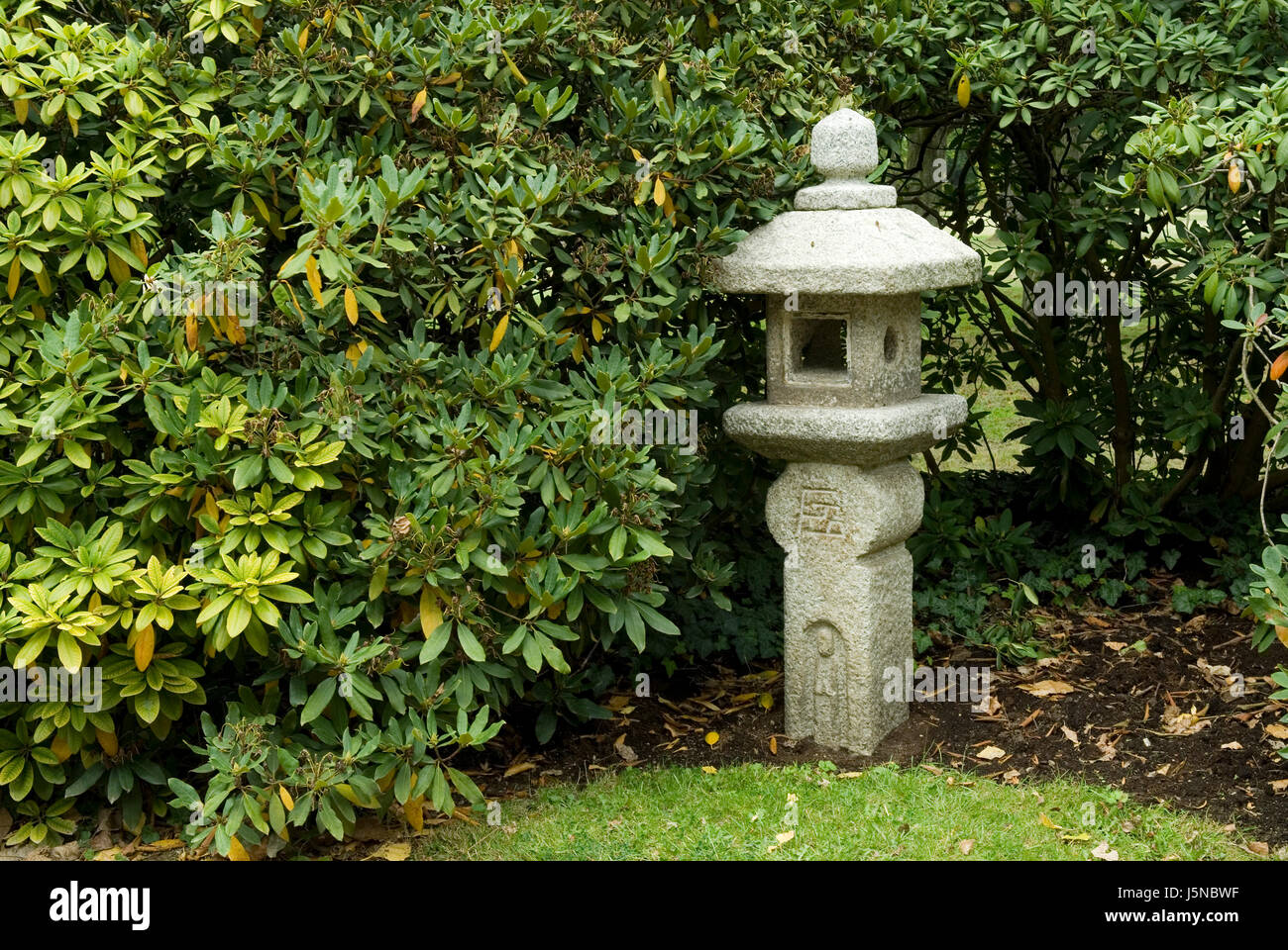 park plant rhododendron parkway granite japanischer garten japanische ...