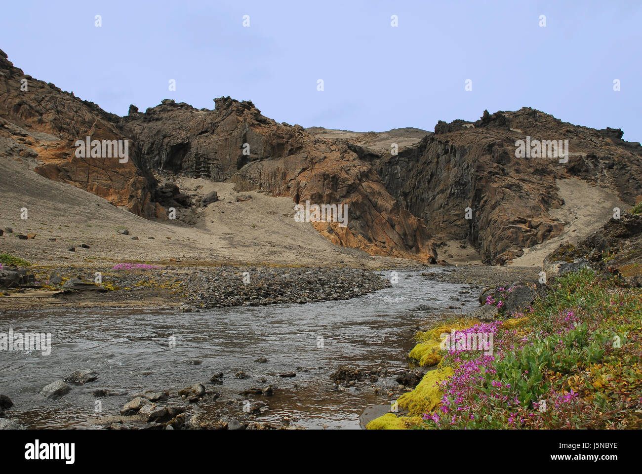 flower flowers plant ravine crater moss iceland erupt spring water ...