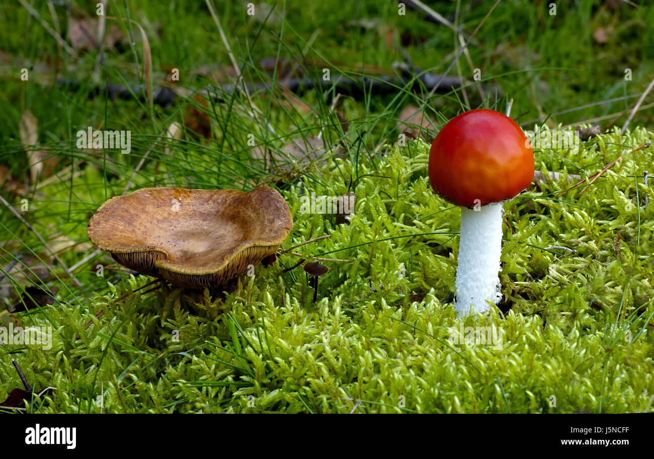 Complete opposites hi-res stock photography and images - Alamy