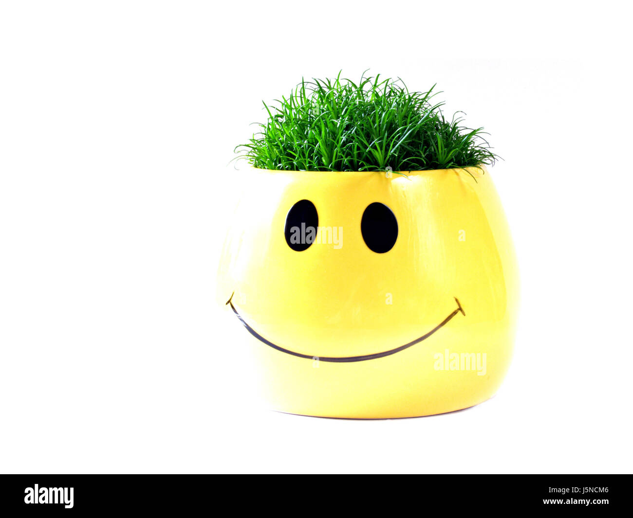 still life laugh laughs laughing twit giggle smile smiling laughter ...