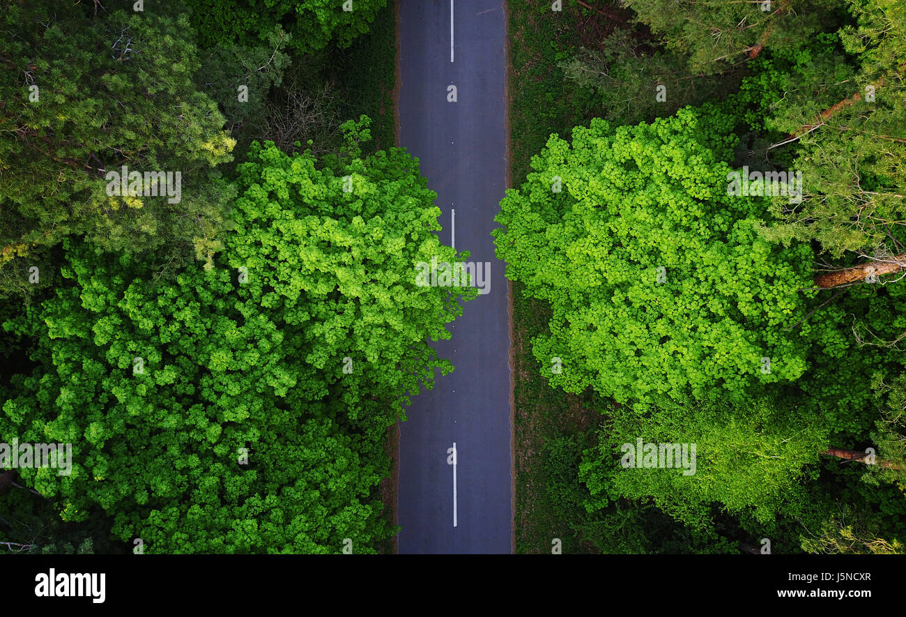 Road through the forest - aerial view Stock Photo - Alamy
