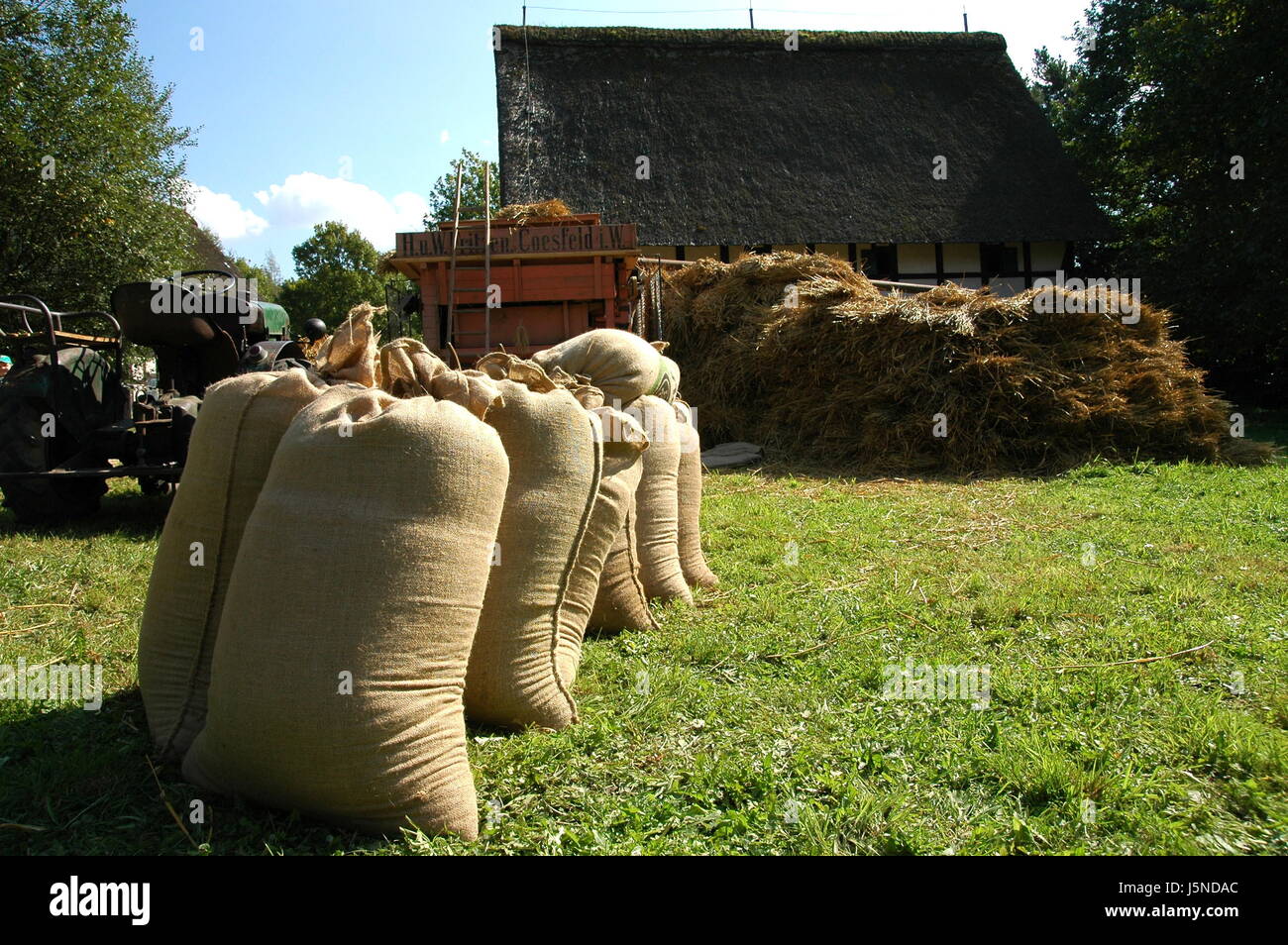 Threshing wheat straw hi-res stock photography and images - Alamy
