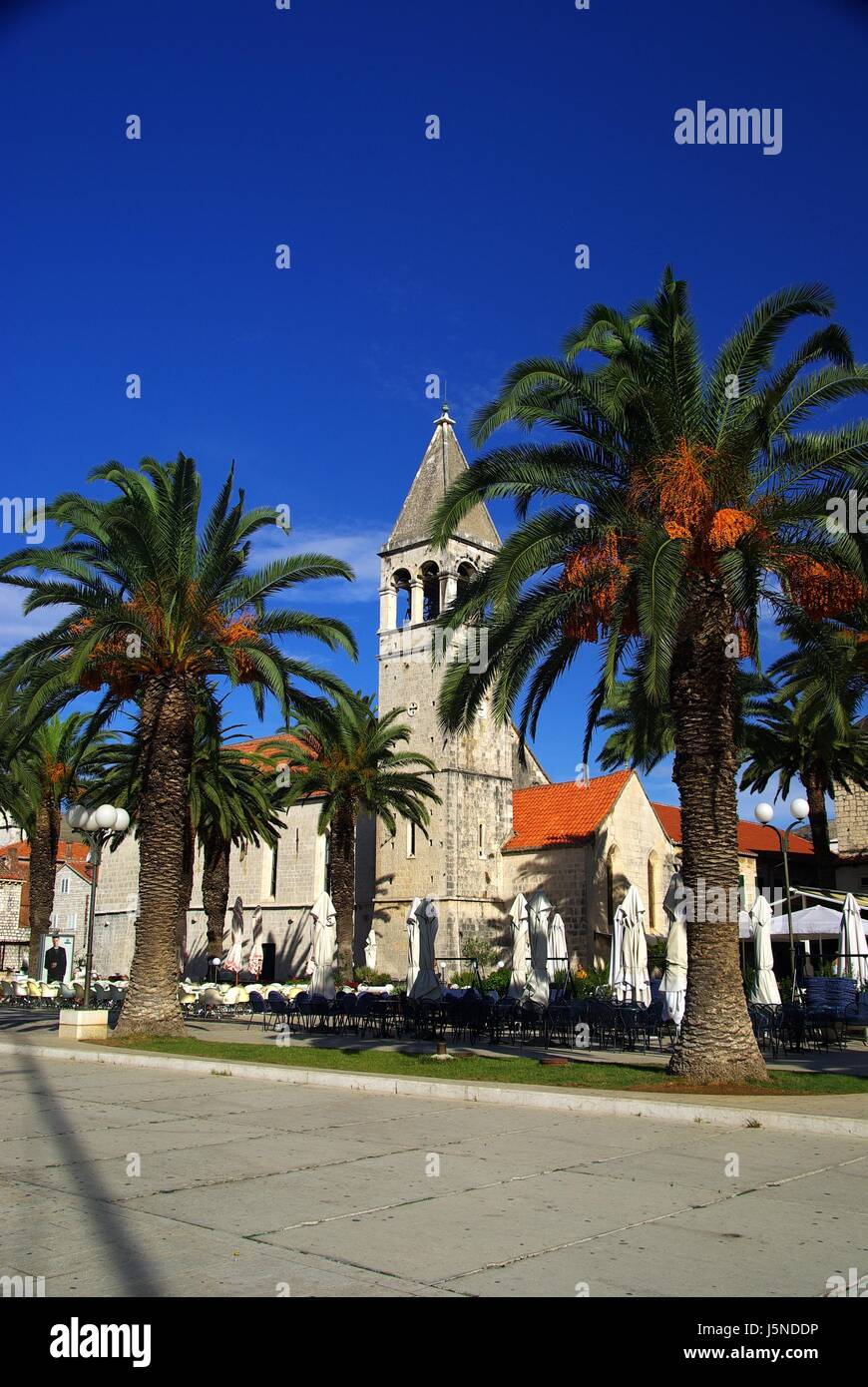 tower historical church city town old town palm tree steeple adriatic ...