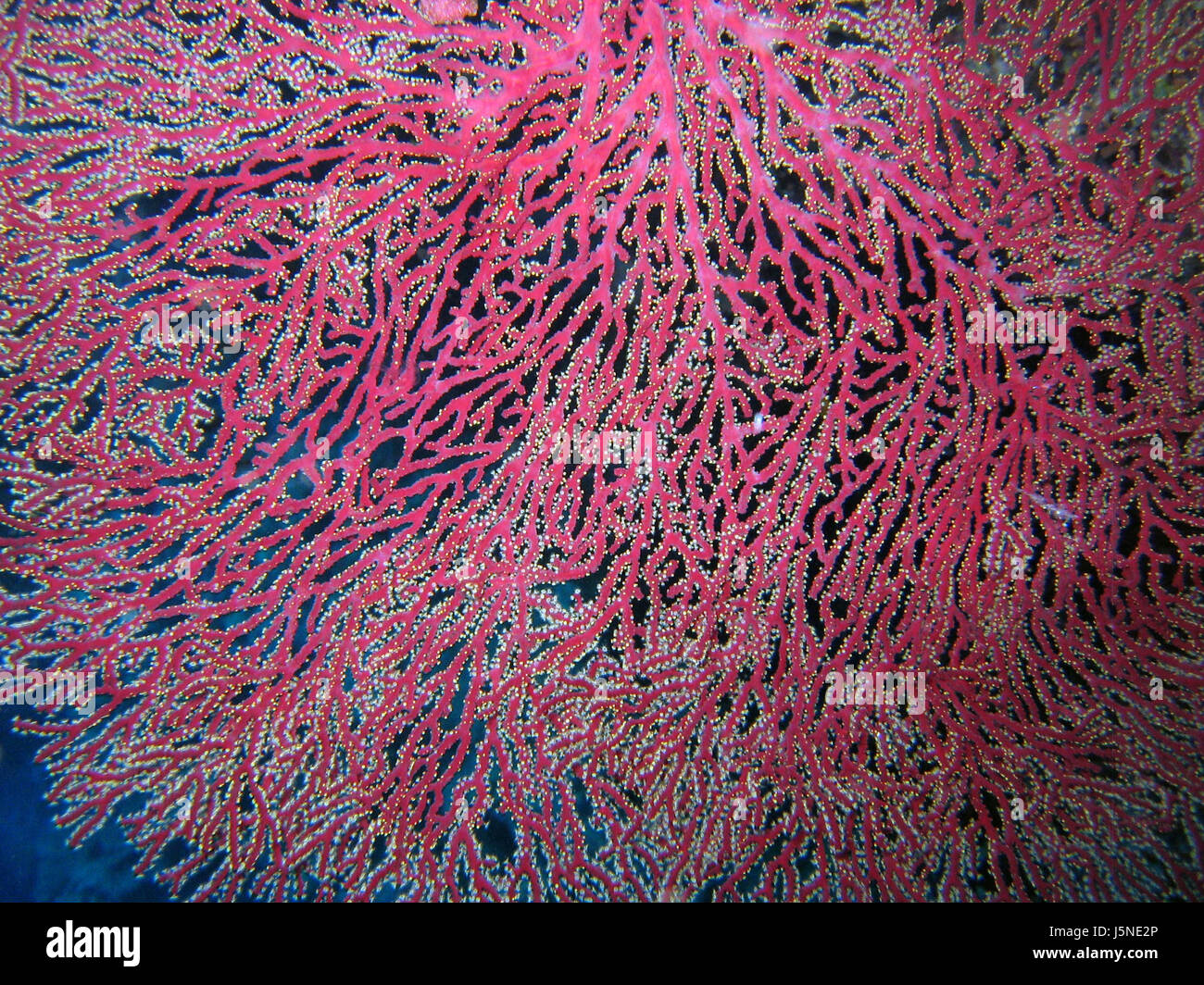 beautiful beauteously nice water mediterranean salt water sea ocean ...