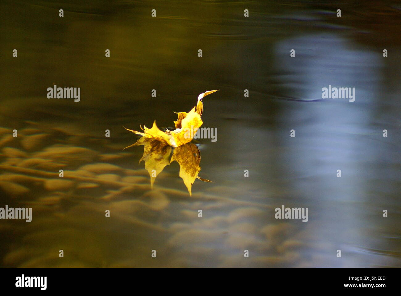 reflection stream munich hand shine shines bright lucent light serene ...