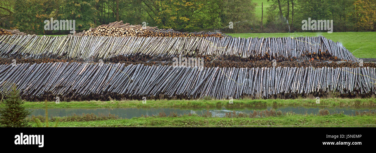 tree trees wood sight view outlook perspective vista panorama lookout ...