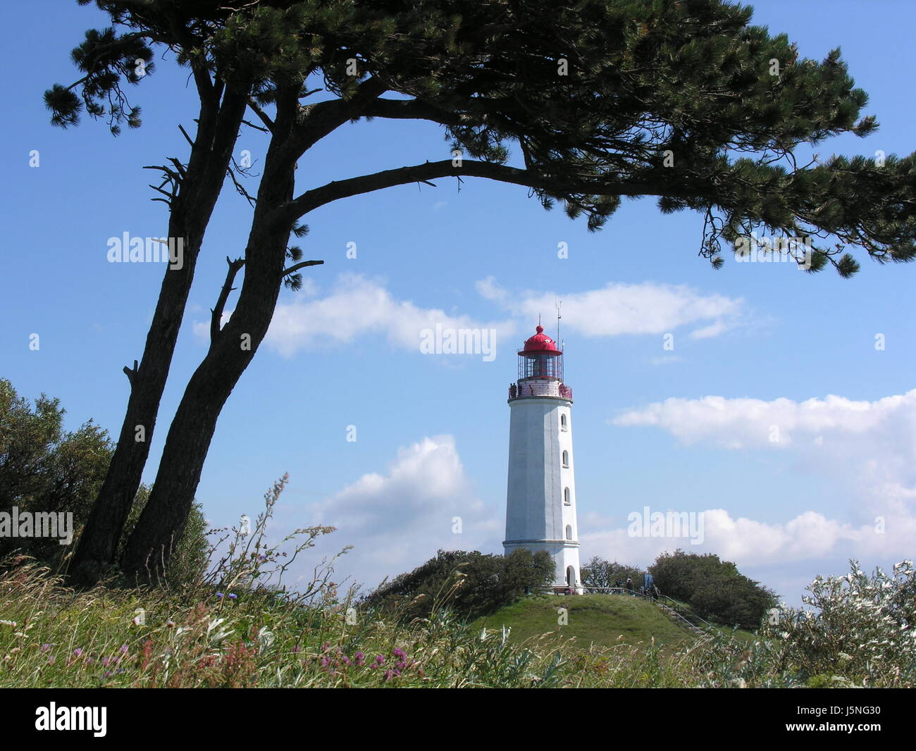 lighthouse dornbusch on hiddensee vi Stock Photo - Alamy