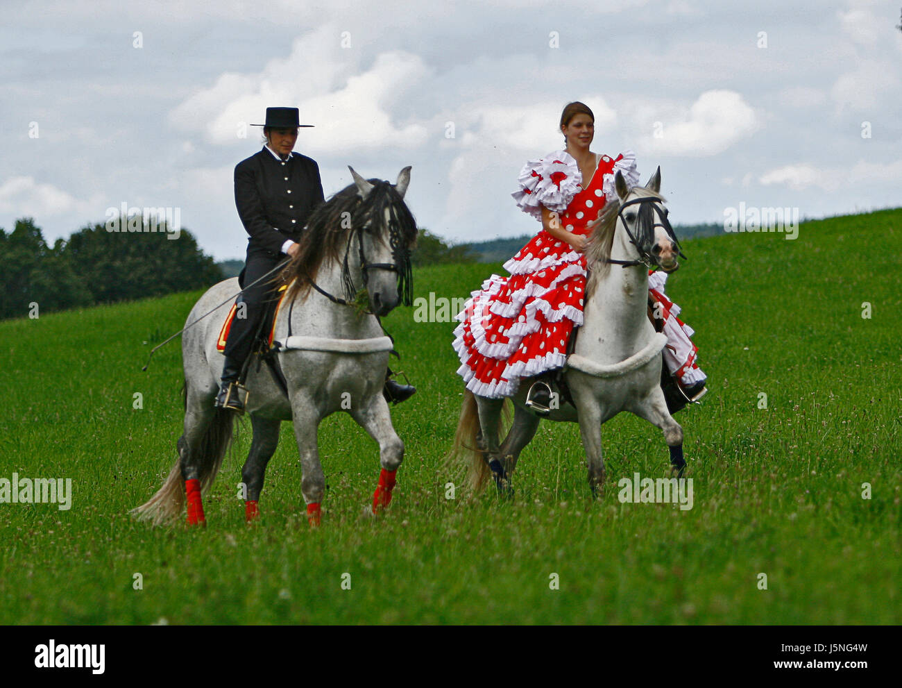 Hispanic arab mare hi-res stock photography and images - Alamy