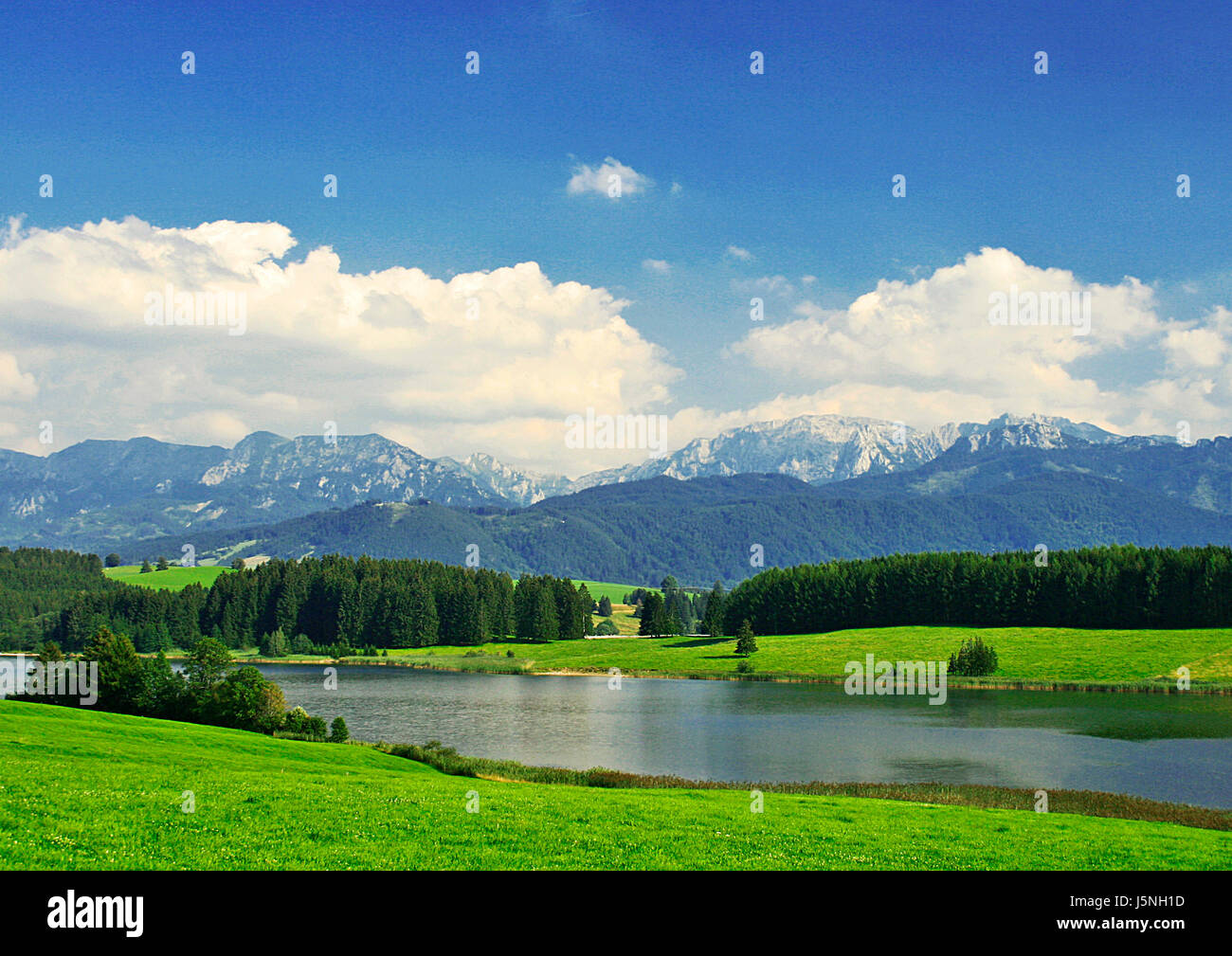 Forggensee swim hi-res stock photography and images - Alamy