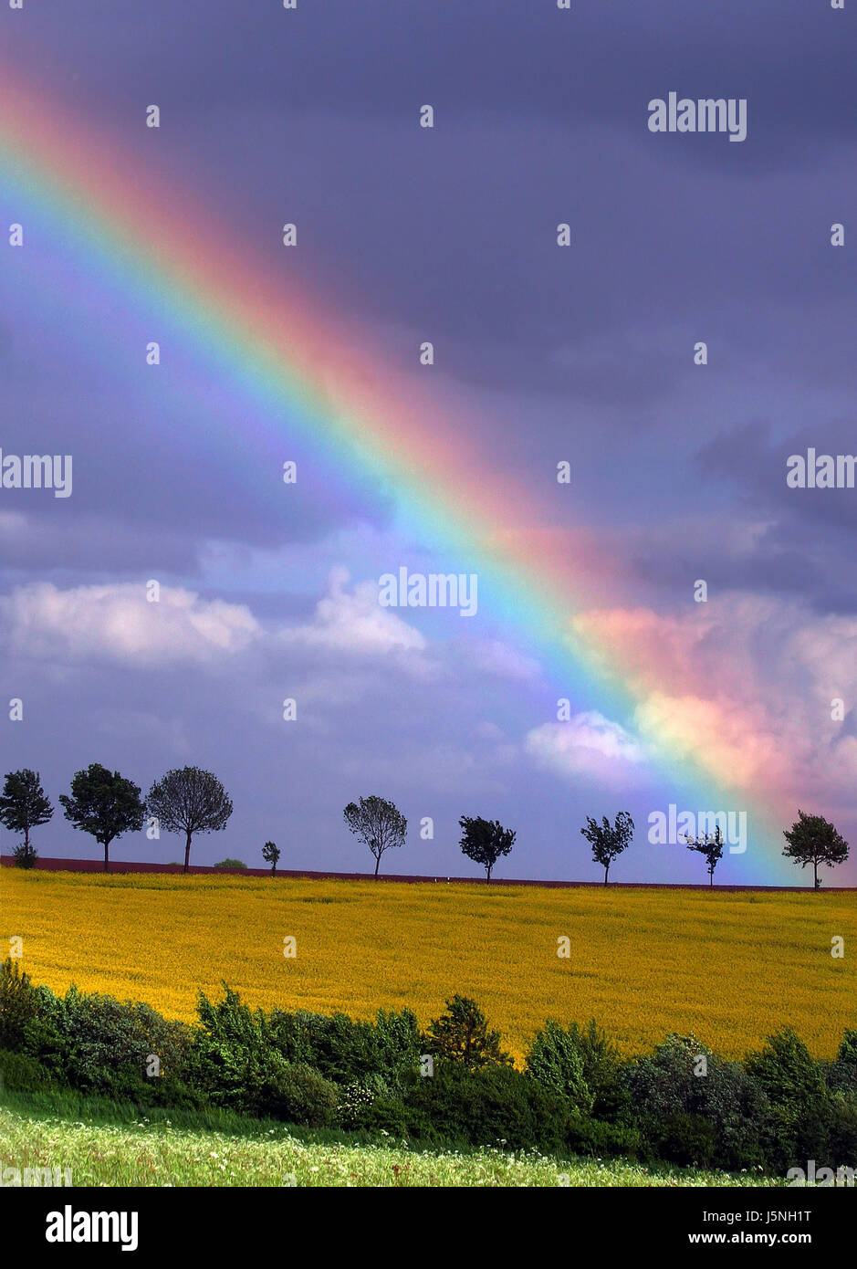 colours of nature Stock Photo - Alamy
