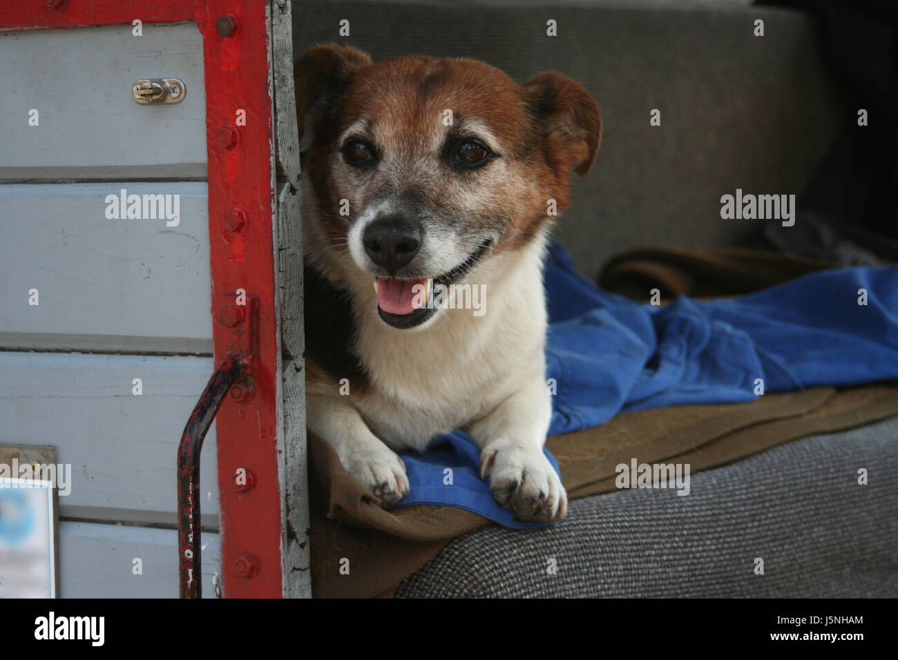 Little wagon hi-res stock photography and images - Alamy