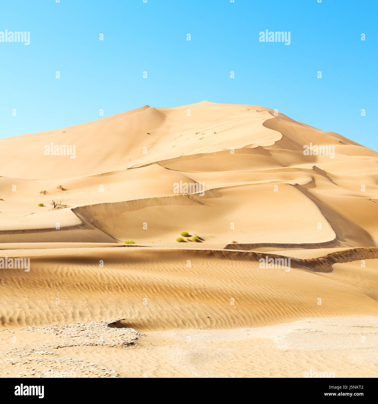 the empty quarter and outdoor sand dune in oman old desert rub al khali ...