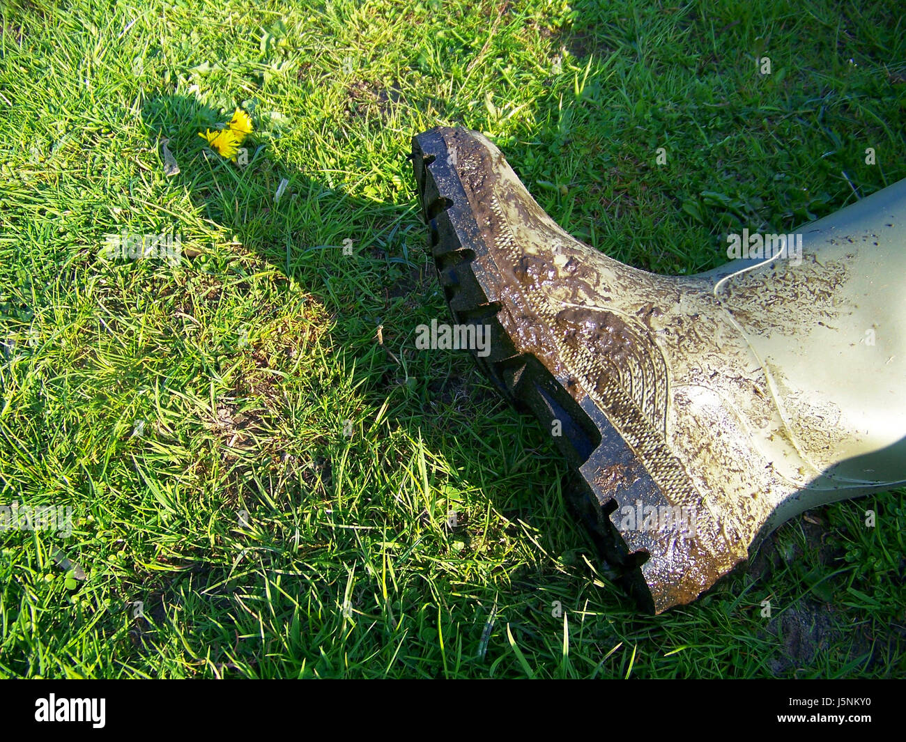 garden green summer summerly dandelion mud gardens rubber boot topsoil ...