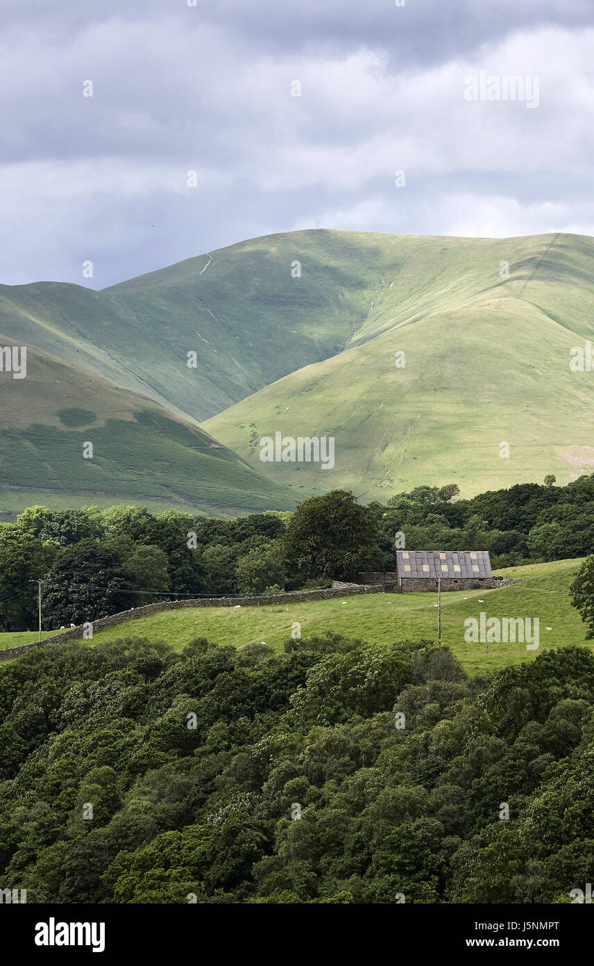 Portrait image of a Gradale Pennine hillside with mist and shadow Stock ...