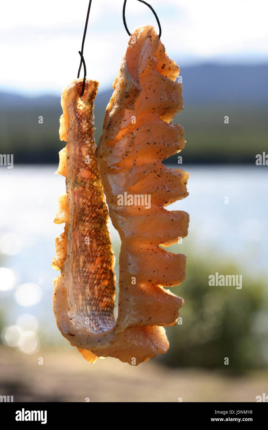 food aliment fish skin angle dry delicacy smoked smoke fillet preserve ...
