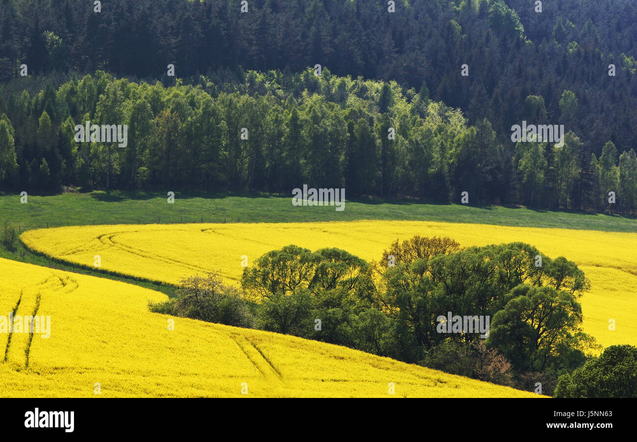 forests and fields Stock Photo - Alamy