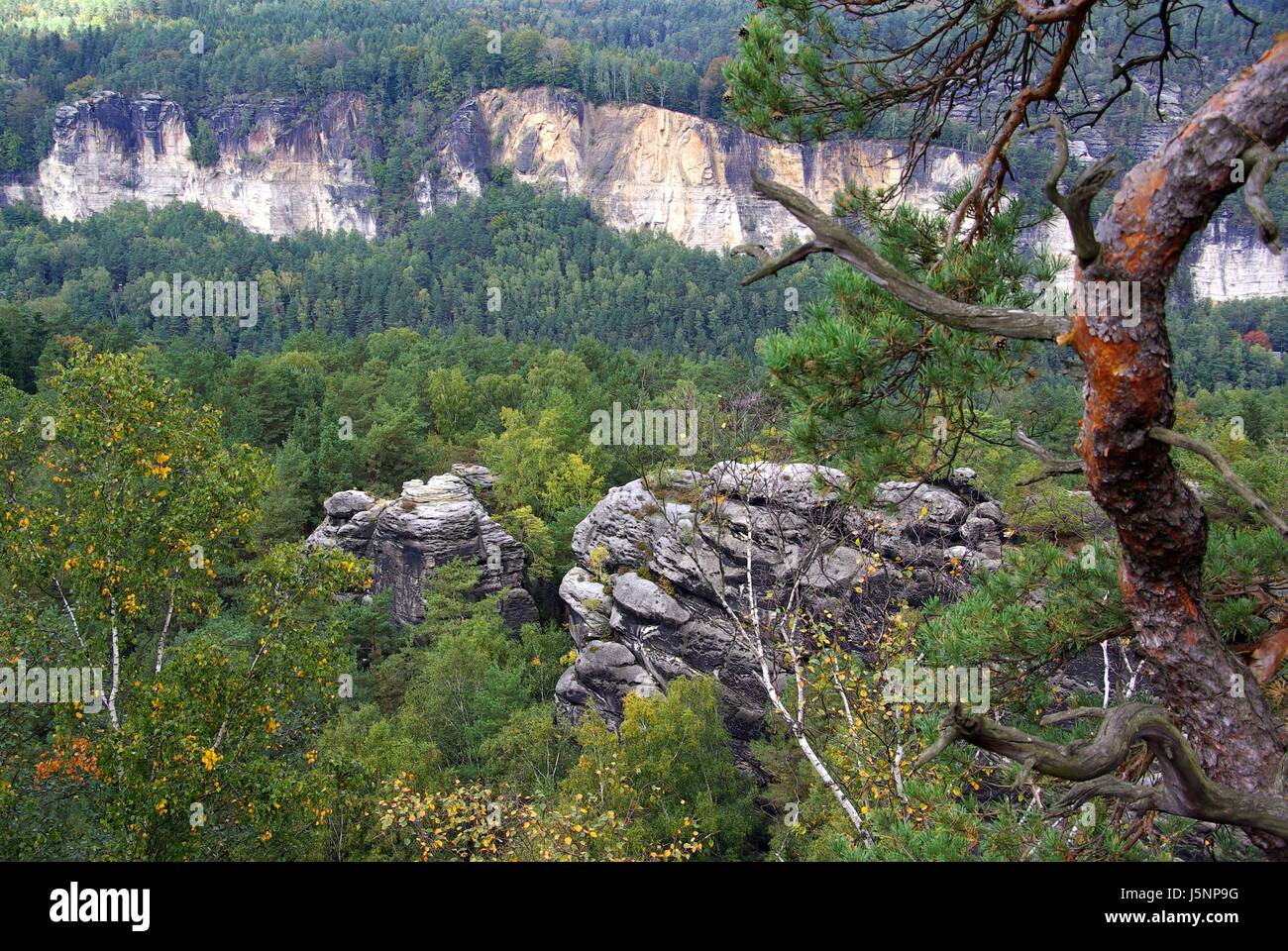 white breaks 01 Stock Photo - Alamy