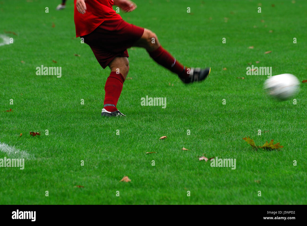 Flank hi-res stock photography and images - Alamy